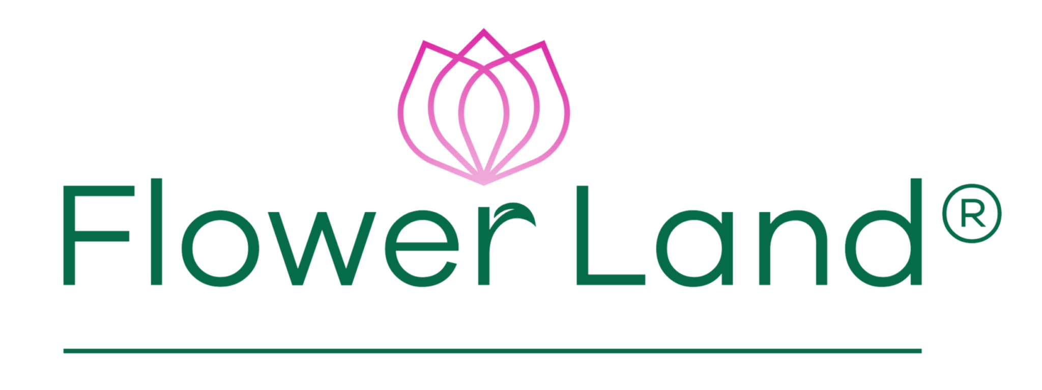 Flower Land - Vente de fleurs coupées, stabilisées, plantes et accessoires